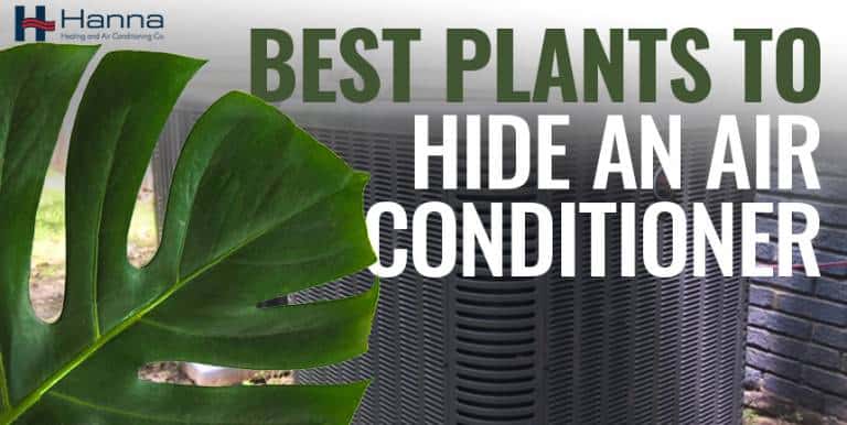 Best Plants to Hide AC Units in Kansas | Wichita | Hanna Heating & Air